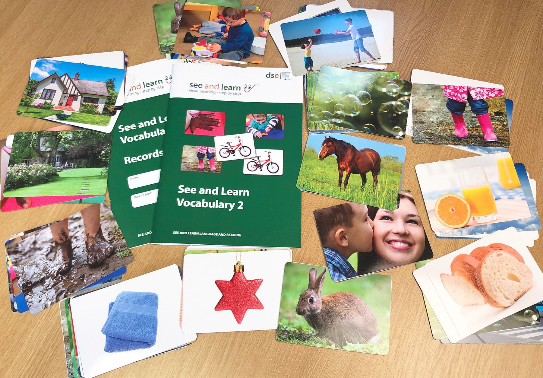 See and Learn Vocabulary 2 Kit – DSE Store