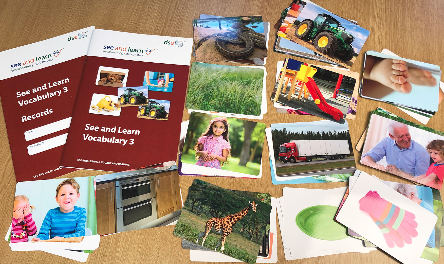 See and Learn Vocabulary 3 Kit – DSE Store